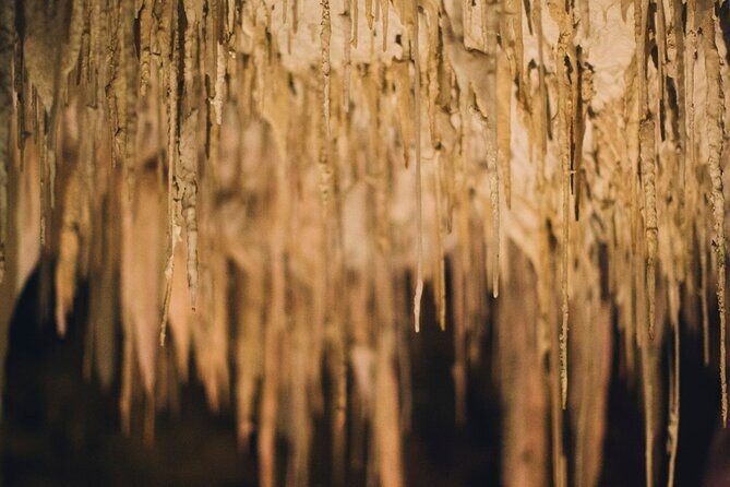 Lake Cave Fully Guided Tour - The Value of the Lake Cave Tour