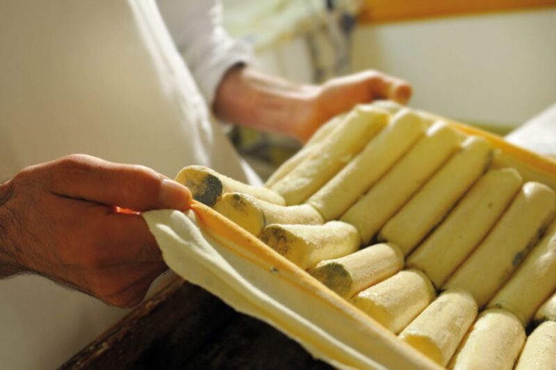 Lake Como: Cheese Factory Tour and Tasting in Valsassina - The Itinerary in Detail