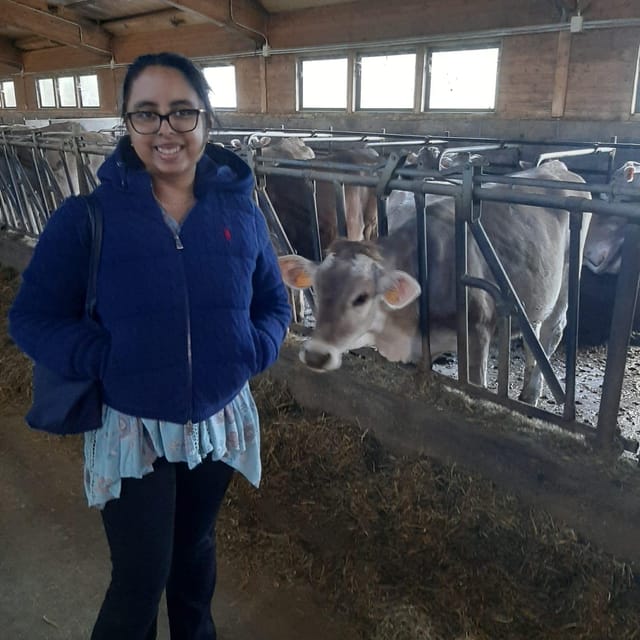 Lake Como Experience. Very Small-Group - Practical Considerations