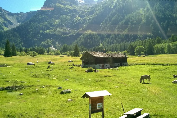 Lake Como, Swiss Alps and Bernina Train. From Milan - Recommendations and Considerations