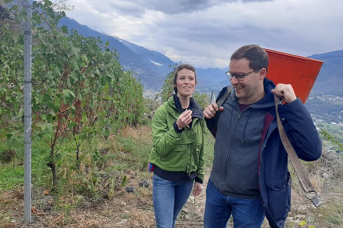 Lake Como & UNESCO Dry-stone Walls Vineyards - What to Expect on the Tour