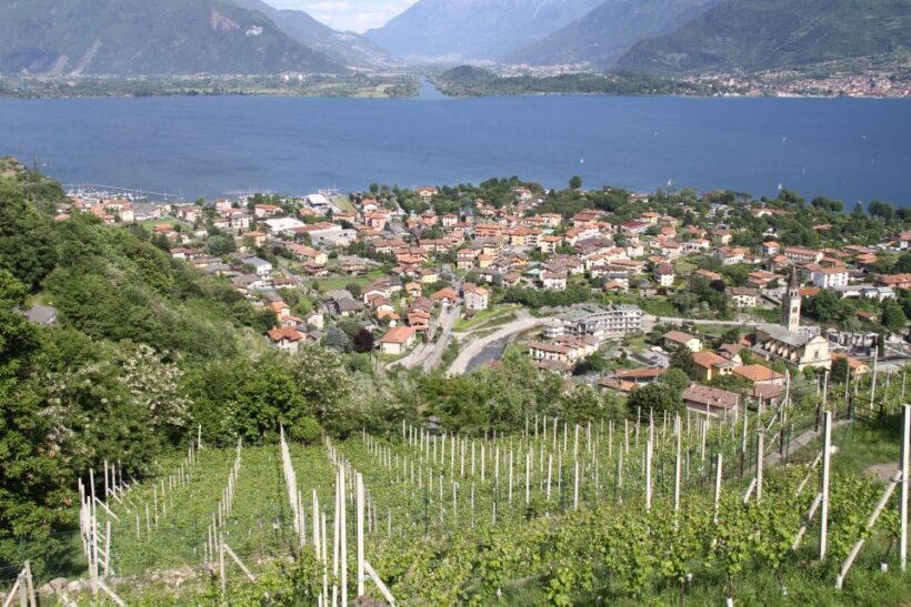 Lake Como: Winery Tour with Wine Tasting - The Experience: A Deep Dive