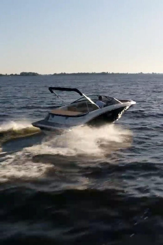 Lake Constance (Untersee!!): Private & guided Boat Tour - The Sum Up