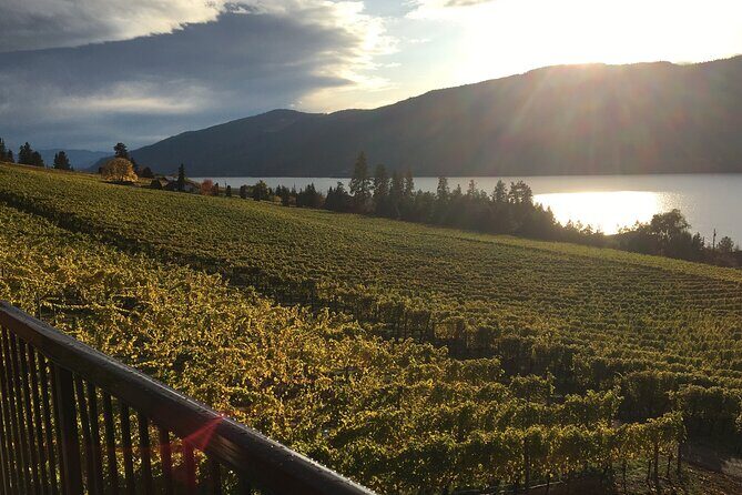 Lake Country 5Hour 5 Winery Tour - An In-Depth Look at the Itinerary