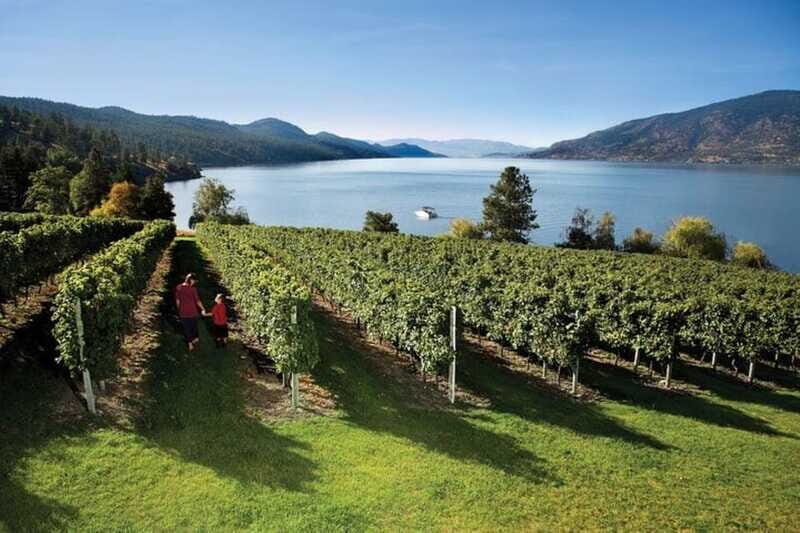 Lake Country: Full-Day Wine Tour with Tastings - Who Should Consider This Tour?