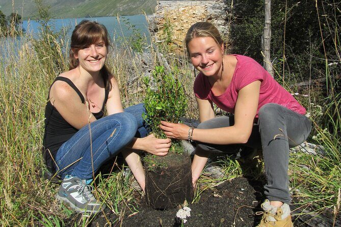 Lake Cruise & Mou Waho Island Nature Walk - Exploring the Lake Cruise & Mou Waho Island Nature Walk: An Authentic Nature Escape in Wanaka