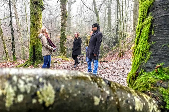 Lake District Adventure Sightseeing Day Trip from Liverpool - Final Thoughts: Is It Worth It?