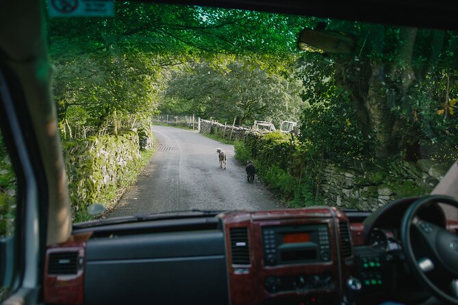 Lake District From Manchester Including Lake Cruise & Cream Tea - Customer Feedback