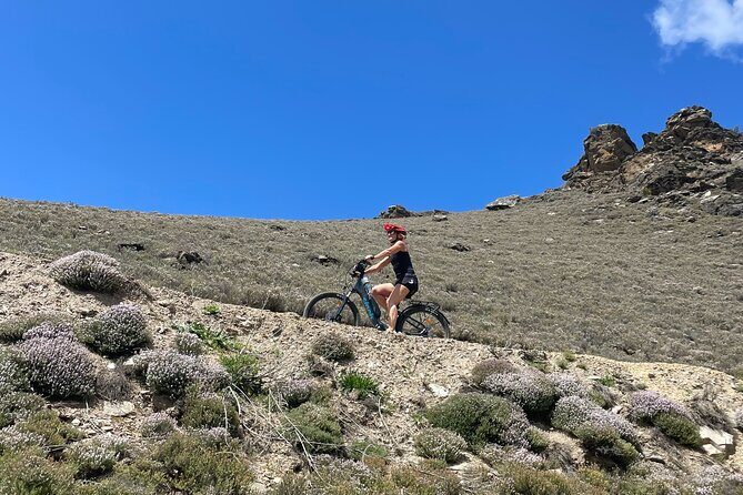 Lake Dunstan Cycleway Bike Rental And Return Shuttle - What the Reviews Say About the Experience