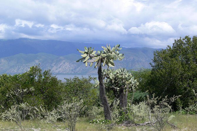 Lake Enriquillo - Exploring Lake Enriquillo: A Natural Wonder