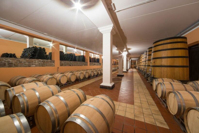Lake Garda: Garda Hills Wine Tour and Tasting - Vineyard & Cellar Tours: Learning from Passionate Locals