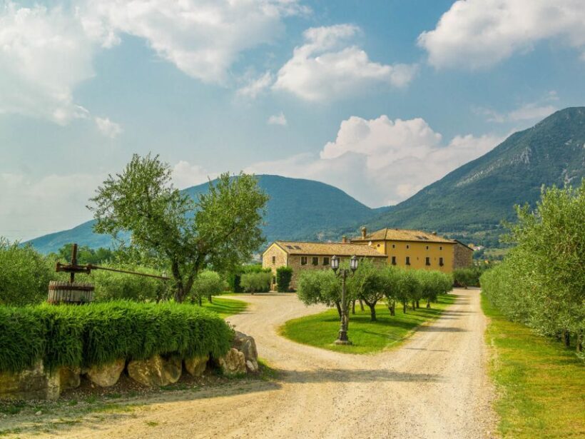Lake Garda: Garda Hills Wine Tour and Tasting - The Tasting: Sipping in Scenic Comfort