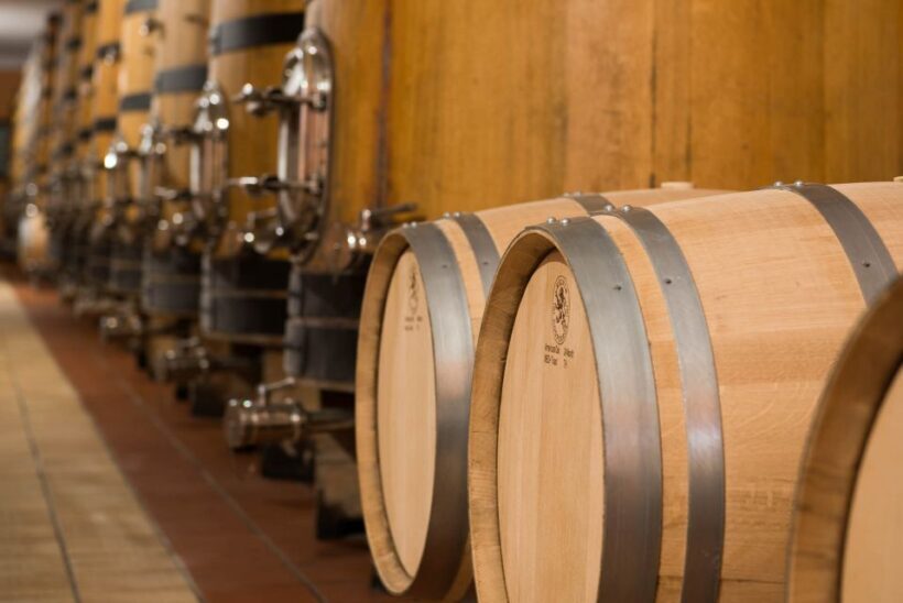 Lake Garda: Garda Hills Wine Tour and Tasting - Practical Details & What to Expect
