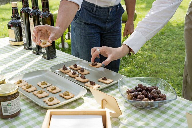 Lake Garda Olive Oil Tour and Tasting Experience - Who Should Consider This Tour?