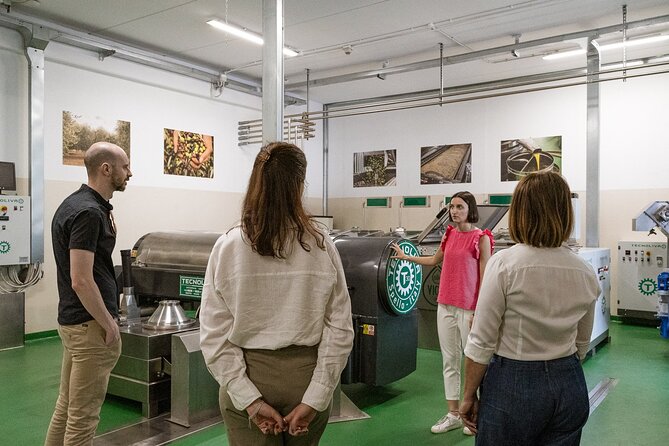 Lake Garda Olive Oil Tour and Tasting Experience - The Sum Up: Is It Worth Your Time?