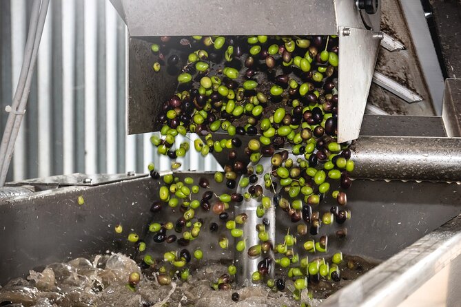 Lake Garda Olive Oil Tour and Tasting Experience - FAQ