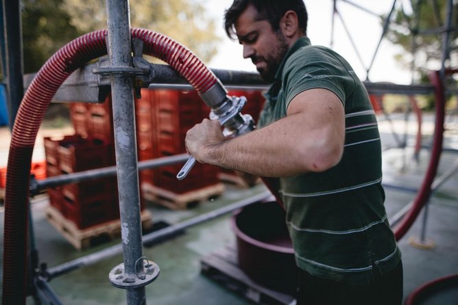 Lake Garda wine tasting: Pinot Noir & tortellini in a Medieval Village - The Sum Up