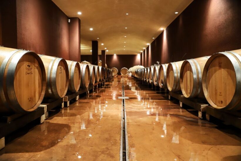 Lake Garda: Wine Tour and Tasting Experience in Bardolino - Exploring the Lake Garda Wine Tour and Tasting in Bardolino