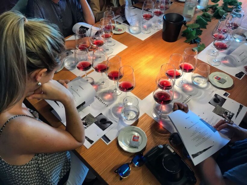 Lake Garda: Wine Tour and Tasting Experience in Bardolino - Key Points