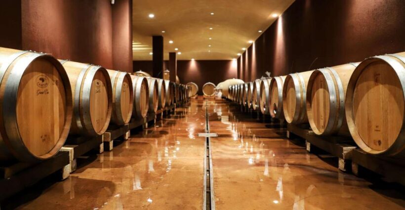 Lake Garda: Wine Tour and Tasting Experience in Bardolino - The Itinerary in Detail