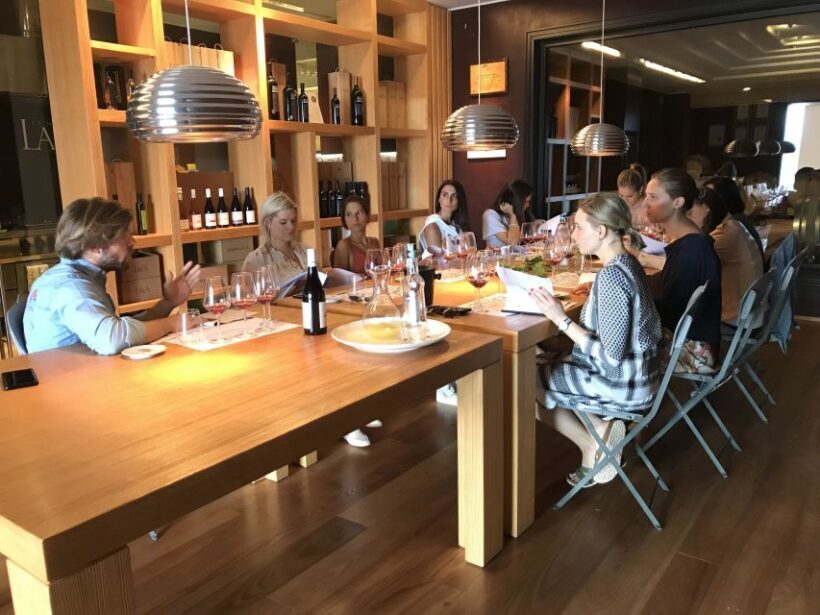 Lake Garda: Wine Tour and Tasting Experience in Bardolino - Considerations and Tips for Travelers