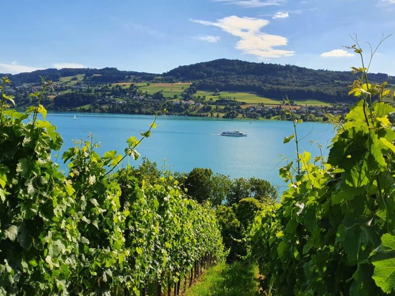 Lake Hallwil: Round Trip and 1-Day Ticket for Lake Hallwil - Transportation and Accessibility