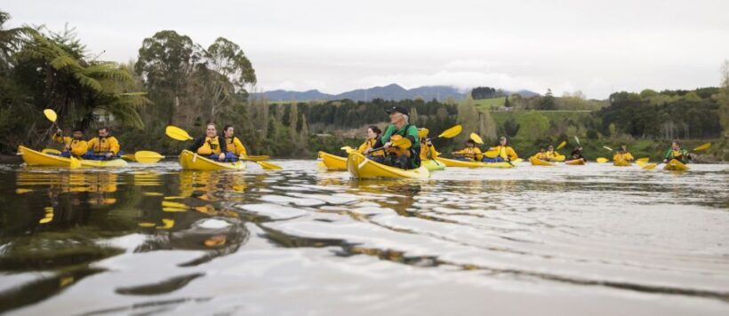 Lake Karapiro: Evening Kayak Glowworm Tour - An Introduction to the Lake Karapiro Glowworm Kayak Tour