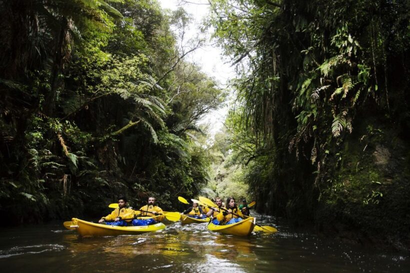 Lake Karapiro: Evening Kayak Glowworm Tour - What’s Included and What’s Not