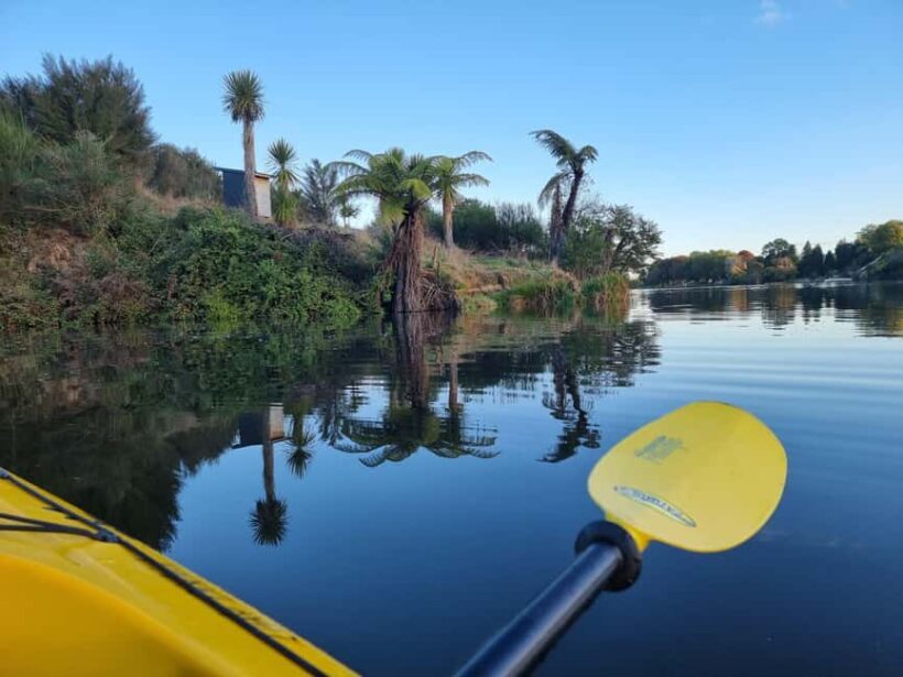Lake Karapiro: Evening Kayak Glowworm Tour - Practical Details: Timing, Cost, and Booking