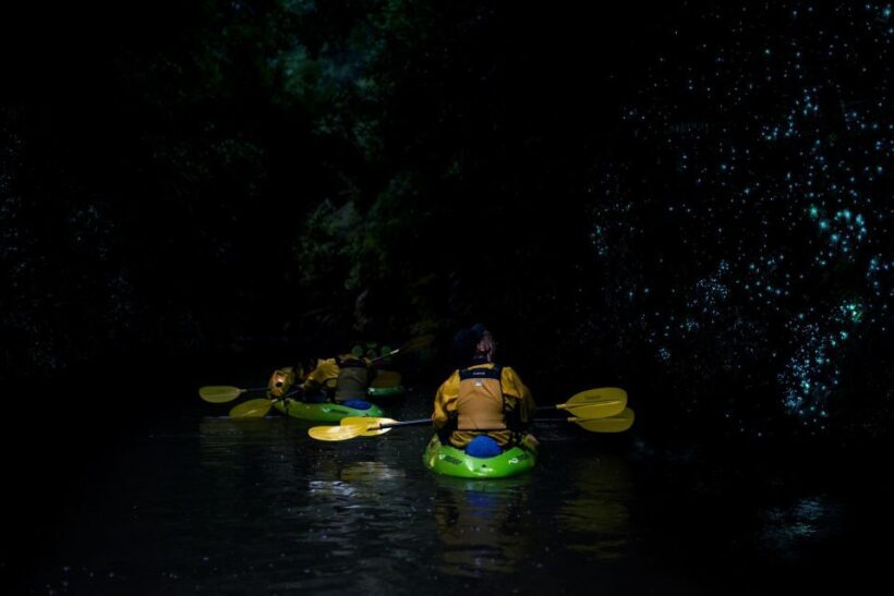Lake Karapiro: Evening Kayak Glowworm Tour - Why Travelers Love This Experience