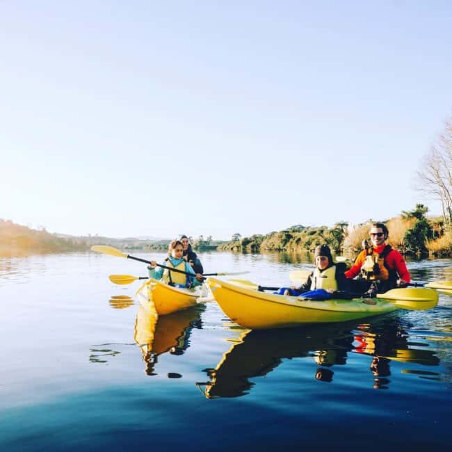 Lake Karapiro: Evening Kayak Glowworm Tour - Final Thoughts: Is This Tour for You?