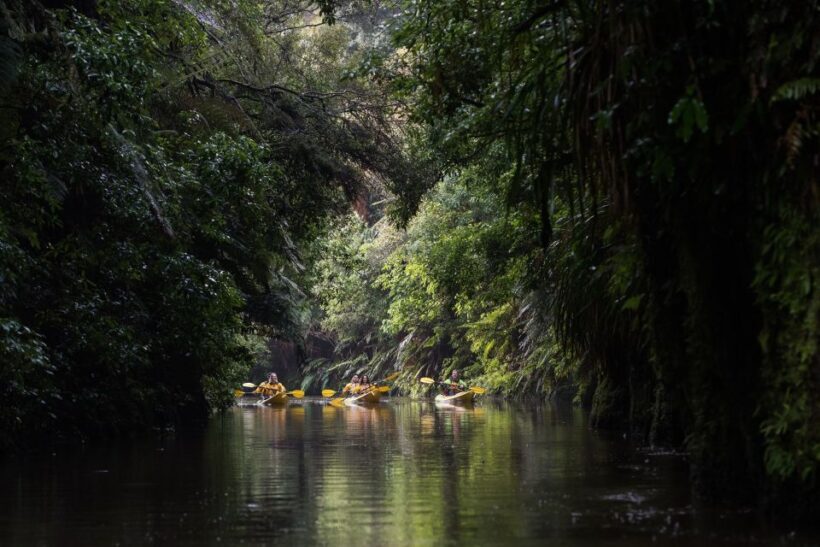 Lake Karapiro: Evening Kayak Glowworm Tour - Final Words