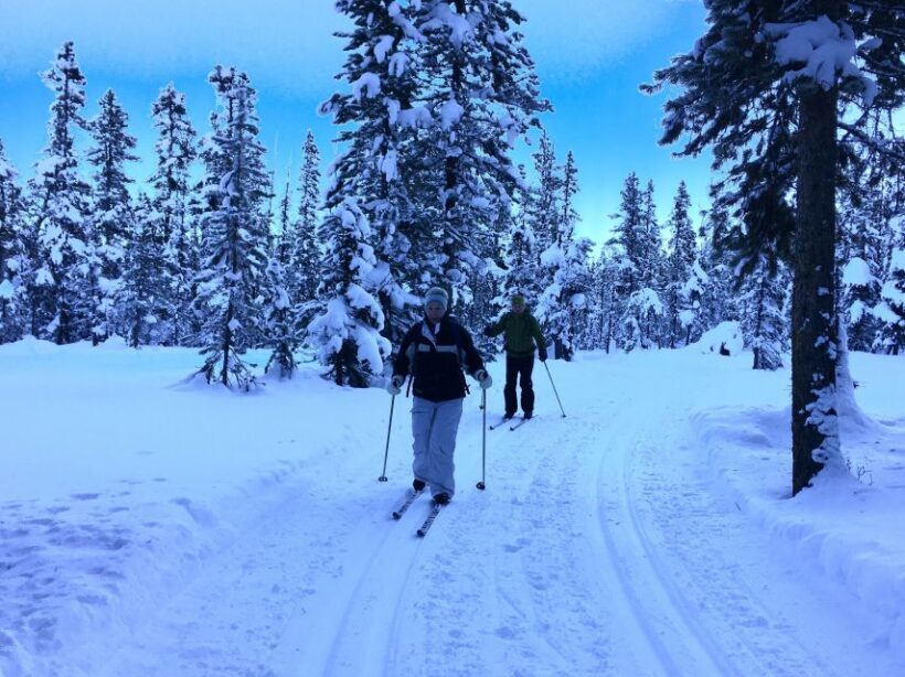 Lake Louise: Cross Country Skiing Lesson with Tour - Introduction