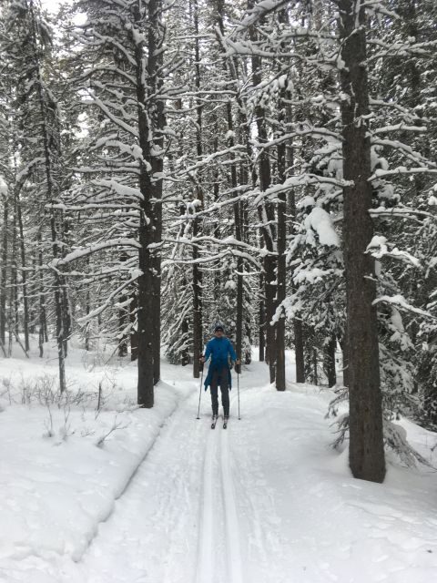 Lake Louise: Cross Country Skiing Lesson with Tour - A Balanced Look at the Experience