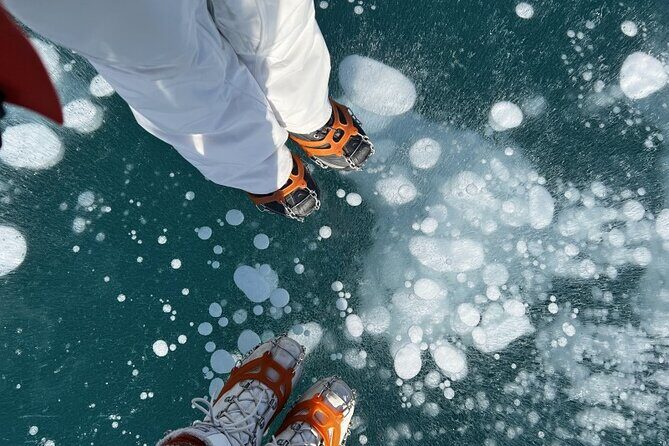 Lake Louise & Snow Fun Day Tour - A Detailed Look at the Tour Itself