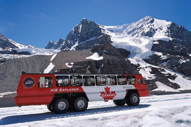 Lake Louise to Jasper One-Way Tour - The Logistics and Value