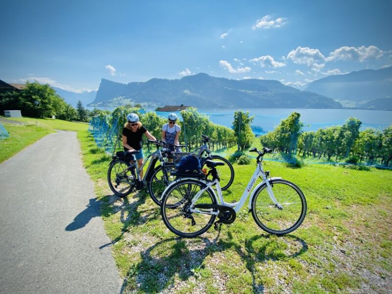 Lake Lucerne Peninsula E-Bike Tour - Since You Asked