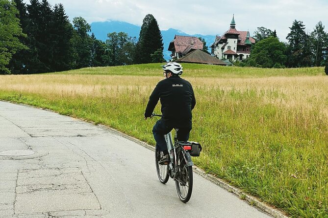 Lake Lucerne Peninsula E-Bike Tour - Participant Requirements and Safety