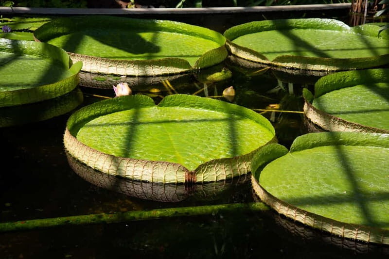 Lake Maggiore Art and Gardens - The Sum Up