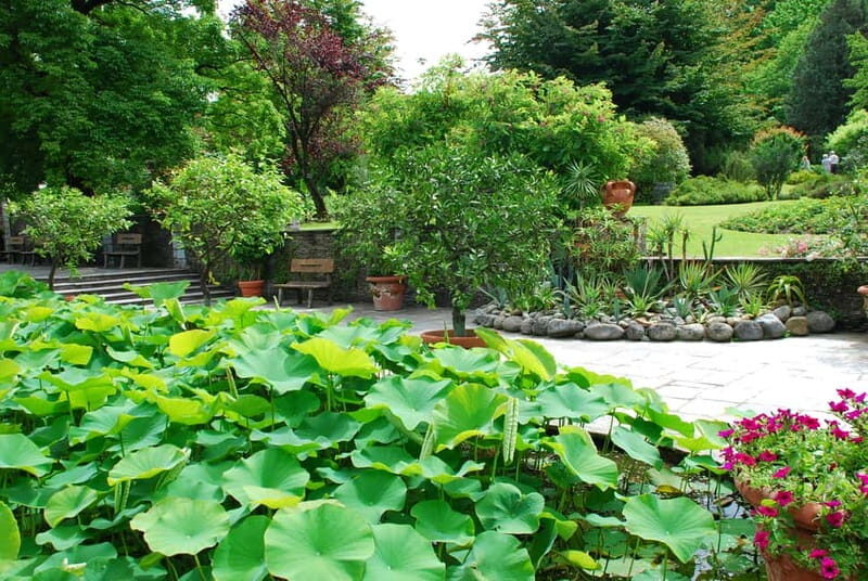 Lake Maggiore Art and Gardens - Frequently Asked Questions