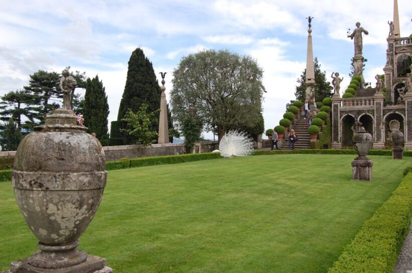Lake Maggiore: Borromean Islands Tickets with Boat Transfer - Isola Madre — The Botanical Retreat