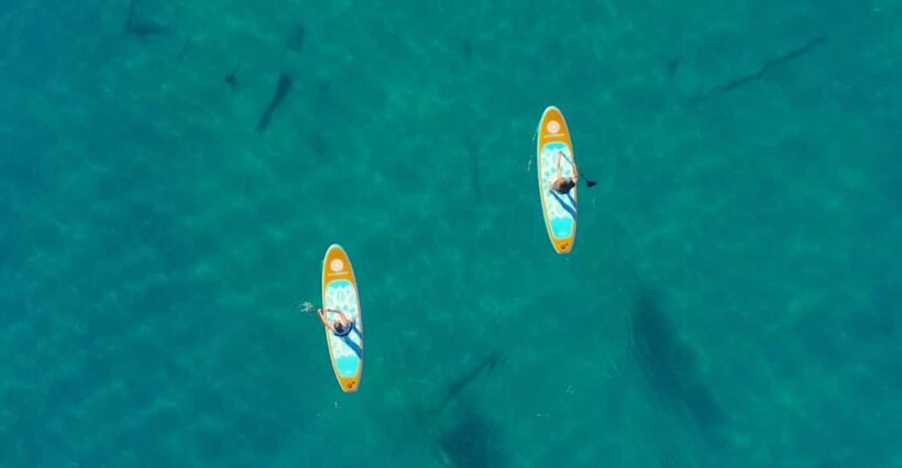 Lake Mead: Paddle Board Rental - An Overview of the Paddleboarding Experience at Lake Mead