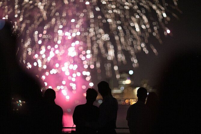 Lake Michigan 21+ July Fireworks Buffet Dinner Cruise - The Highlights: Why You Should Consider This Cruise
