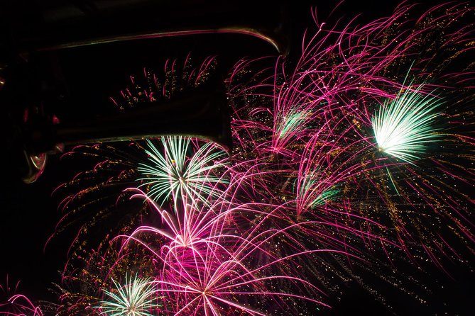 Lake Michigan Fireworks Cruise in Chicago - Who is this tour best suited for?