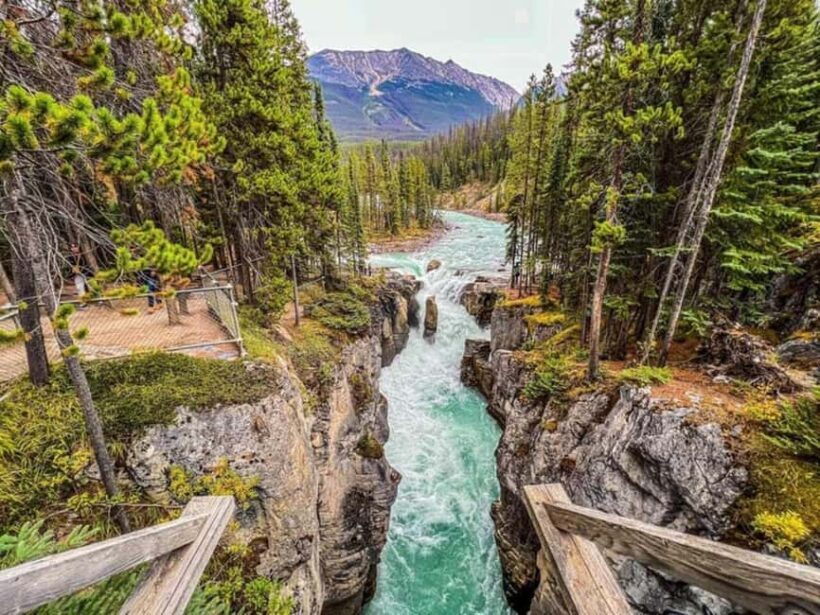 Lake Minnewanka, Lake, Louise, Johnson Lake & Banff Gondola - Who Will Love This Tour?