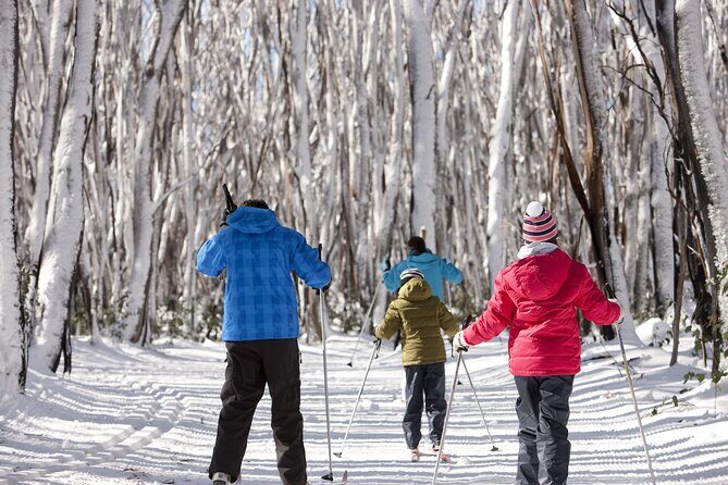 Lake Mountain Snow play and Steavenson Falls from Melburne - The Itinerary in Detail: What to Expect