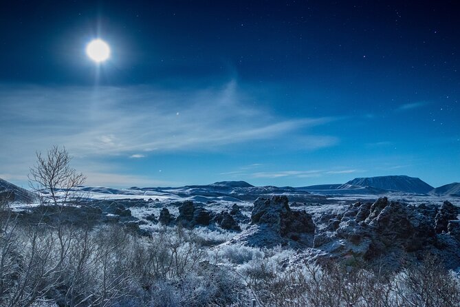 Lake Mývatn and Goðafoss Shore Excursion - Customer Reviews and Feedback