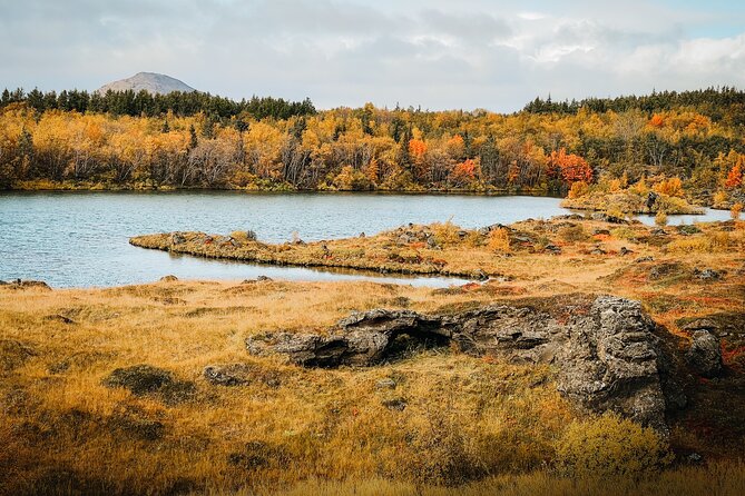 Lake Myvatn Godafoss and Dettifoss Waterfalls Tour in Iceland - Who Should Consider This Tour?