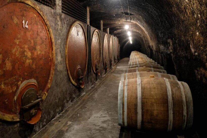 Lake of Bolsena: Private Cellar Tour and Wine Tasting - An Introduction to Lazio’s Hidden Wine Gem
