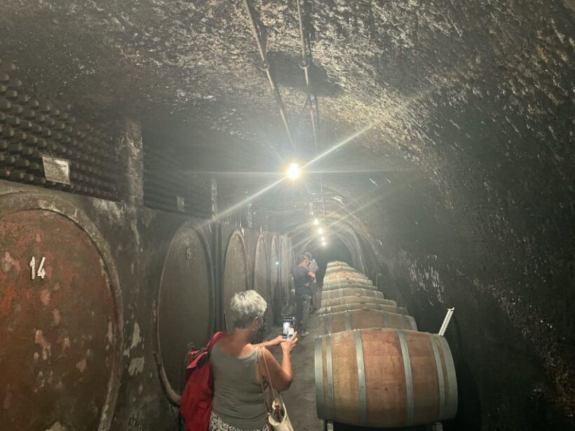 Lake of Bolsena: Private Cellar Tour and Wine Tasting - Practical Details and Value
